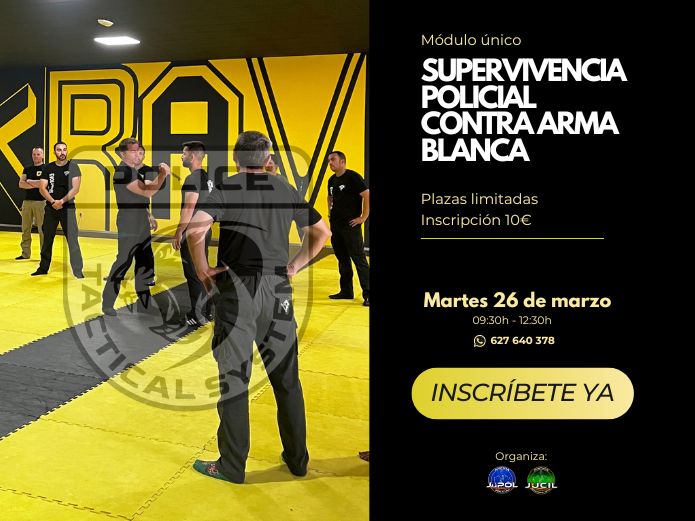 DEFENSA PERSONAL POLICIAL Valencia| Cursos defensa policial